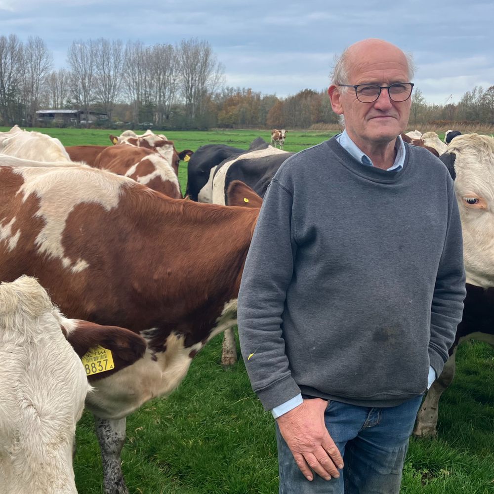 Koeien in december nog steeds in de wei? Dan komt bij deze boer oude ...