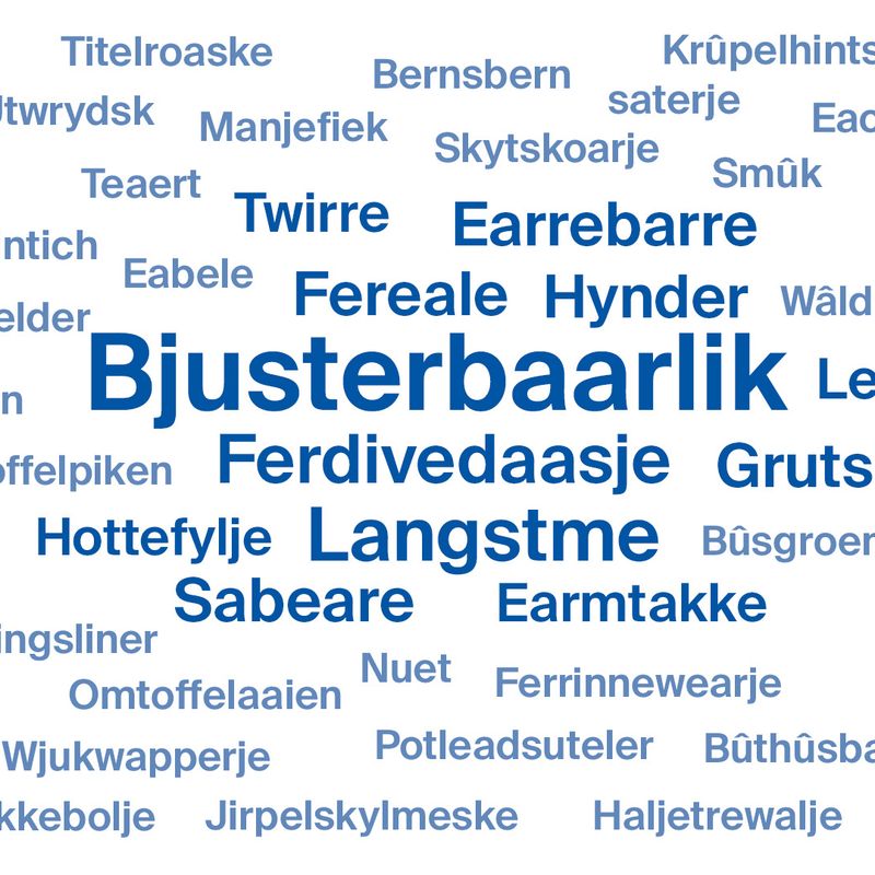 Van 'omtoffelpiken' tot 'hottefylje': dit zijn de favoriete Friese ...