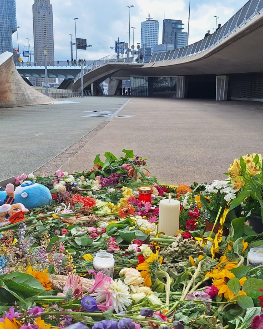 Erasmussteker Ayoub M. ontkent huilend dat hij een terrorist is: ‘Ik ...