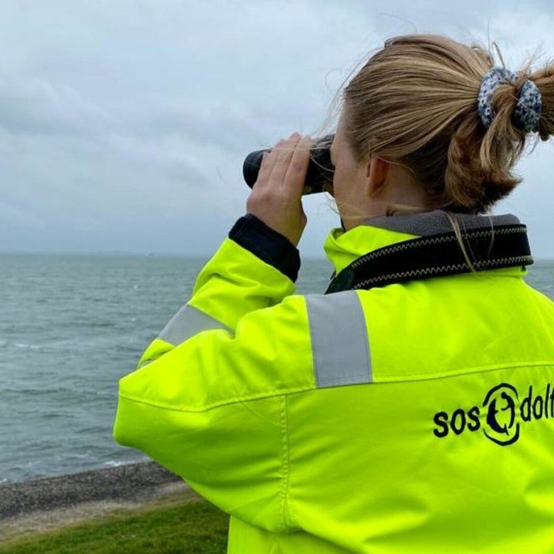 Rescueteam SOS Dolfijn zoekt naar tuimelaar in Oosterschelde - Omroep ...