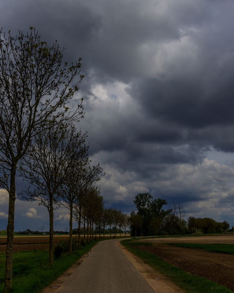 KNMI waarschuwt voor onweersbuien in Limburg: code geel - L1 Nieuws