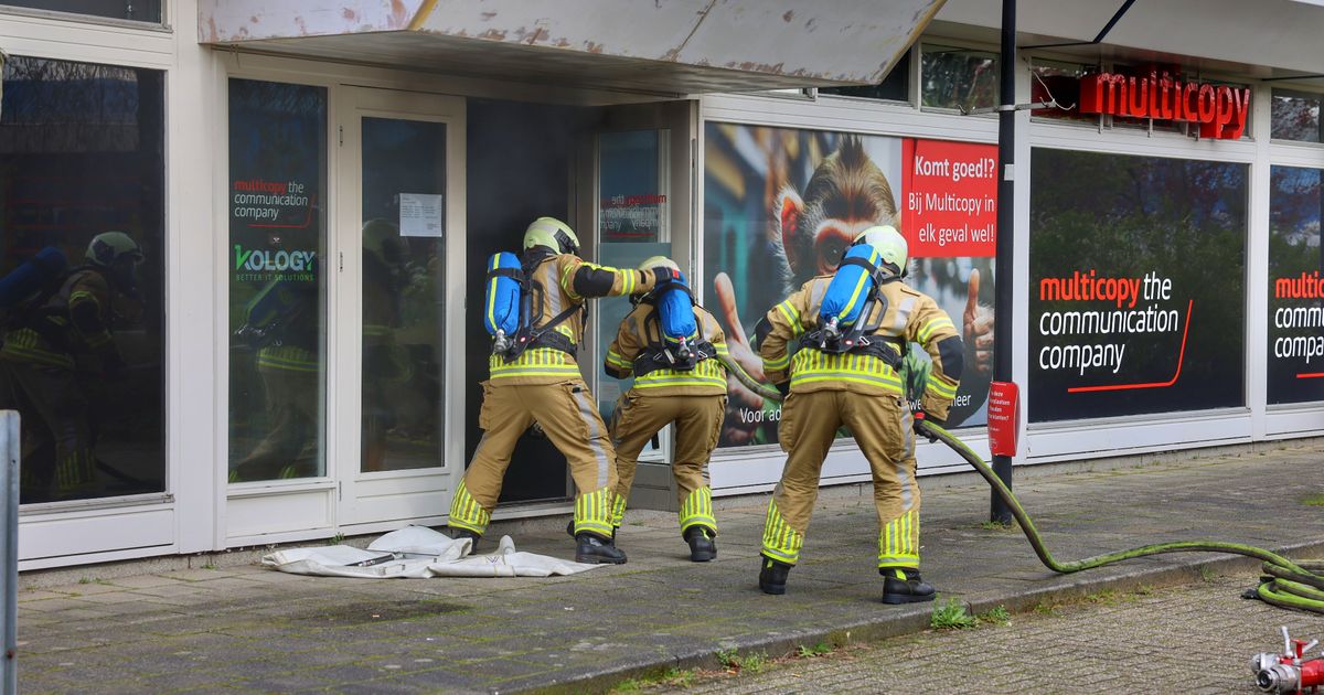 112-nieuws: Brand in bedrijfspand Zeist | Dode schapen gevonden in Leusden - RTV Utrecht