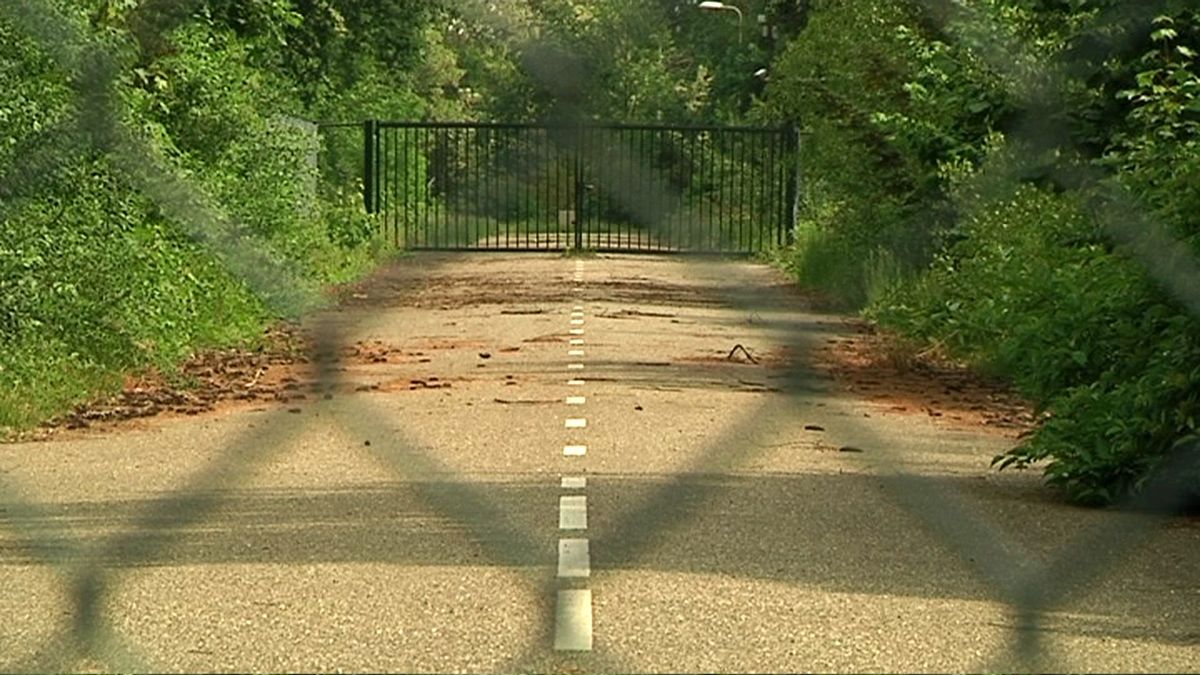 Deel Kamp van Zeist wordt natuurgebied - RTV Utrecht