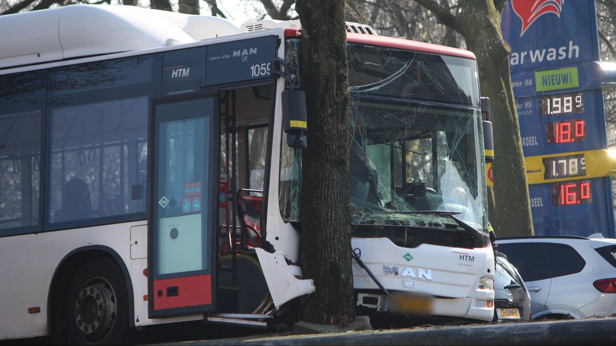 Bus knalt tegen boom, vijf mensen gewond - Omroep West