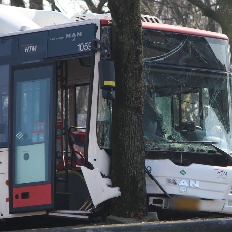 Bus knalt tegen boom, vijf mensen gewond - Omroep West