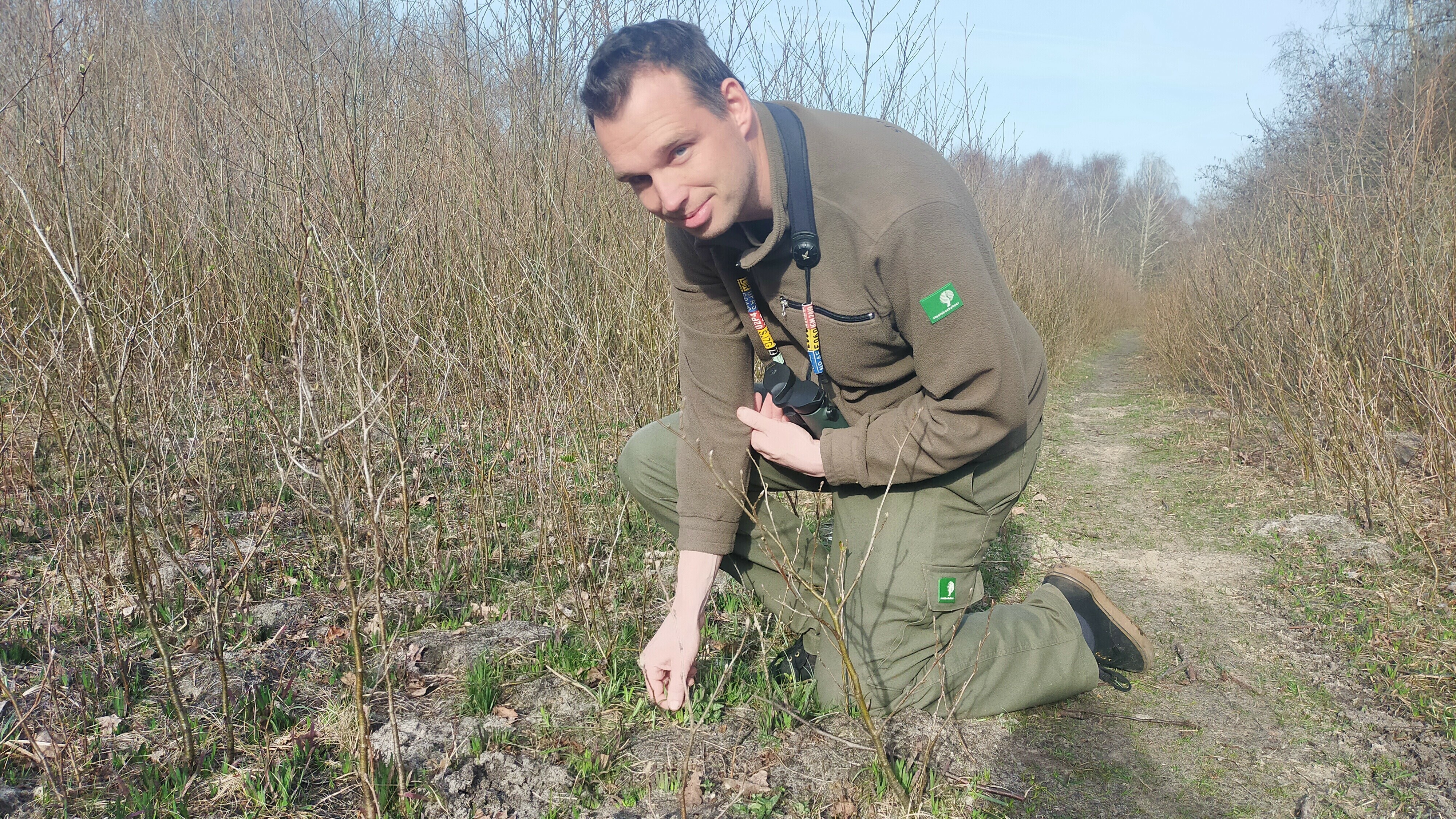 Gele bieslelie bestrijden met schaduw: 'We creëren een bos op de ...