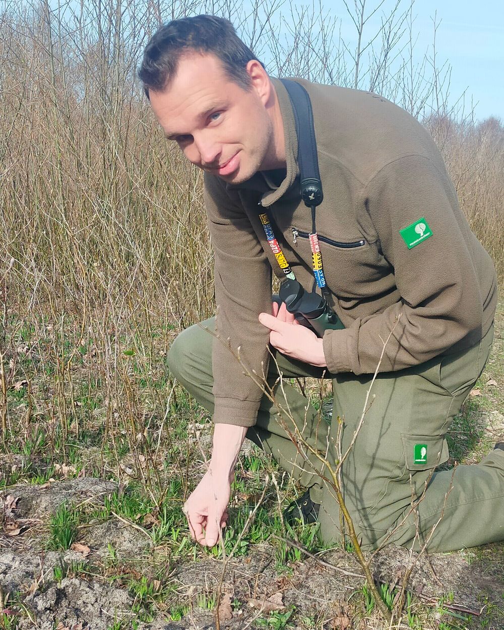 Gele bieslelie bestrijden met schaduw: 'We creëren een bos op de ...