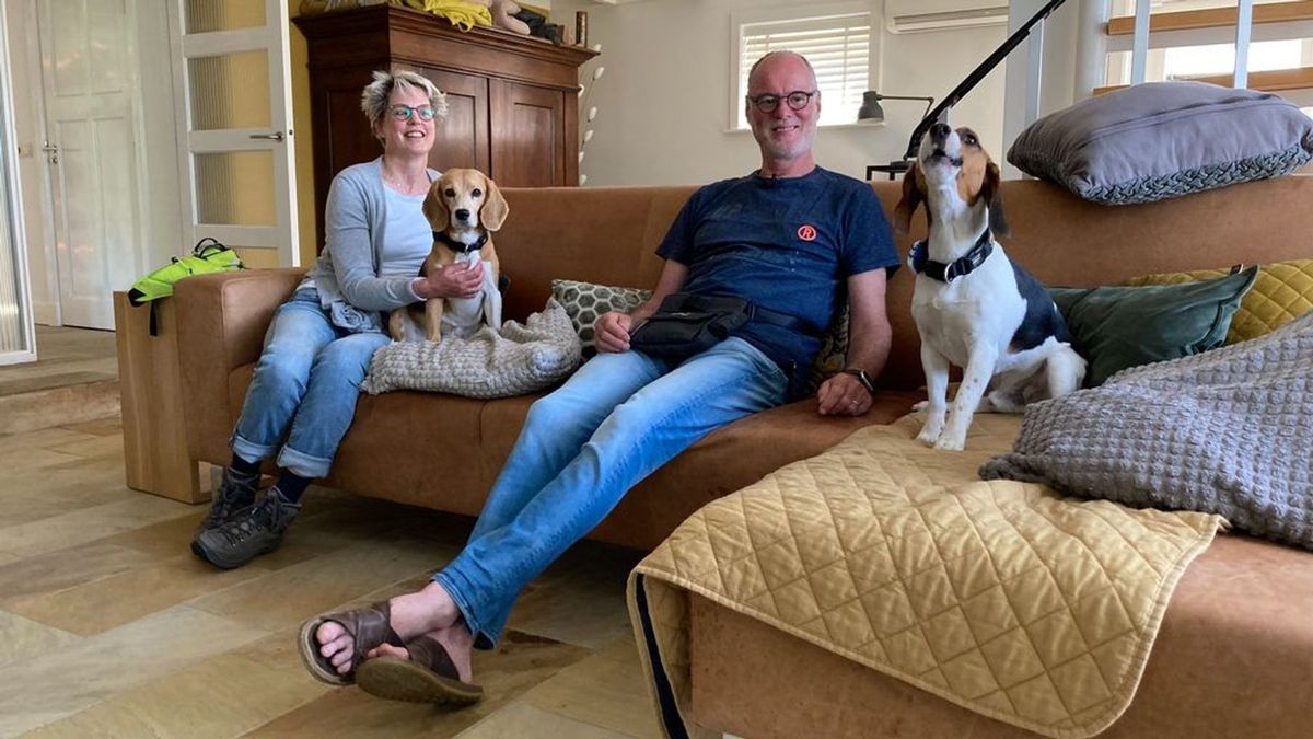 Leonie en Sander vangen beagles op die proefdier waren - Omroep Gelderland