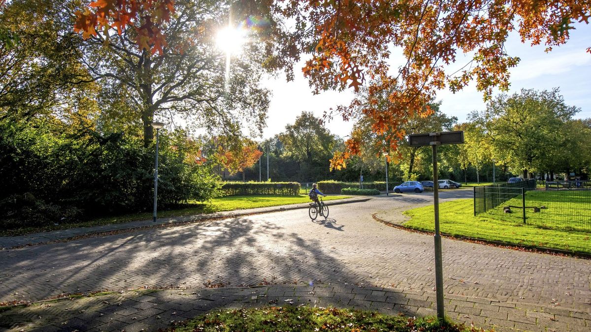 Drie verdachten zwembadmoord 2012 mogen nog niet naar huis - RTV Drenthe