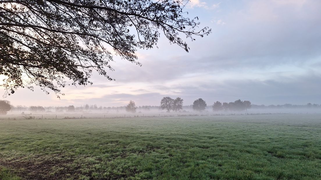 In Beeld: een prachtige dag in Drenthe - RTV Drenthe