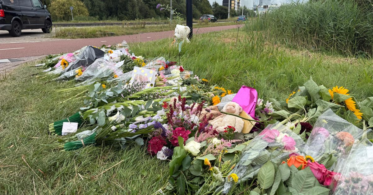 Eerste zitting in zaak over dood Lisa (17) uit Abcoude eind november - RTV Utrecht