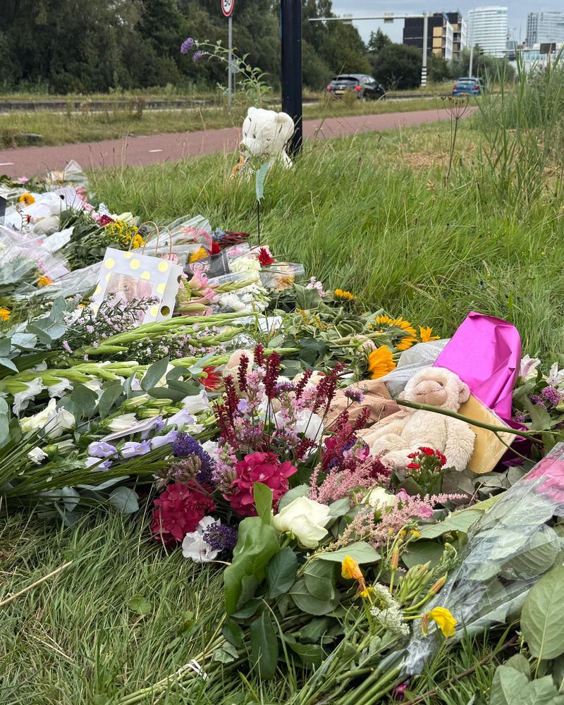 Verdachte moord op Lisa blijft langer vast, OM vroeg Nigeria om informatie over zijn identiteit ...