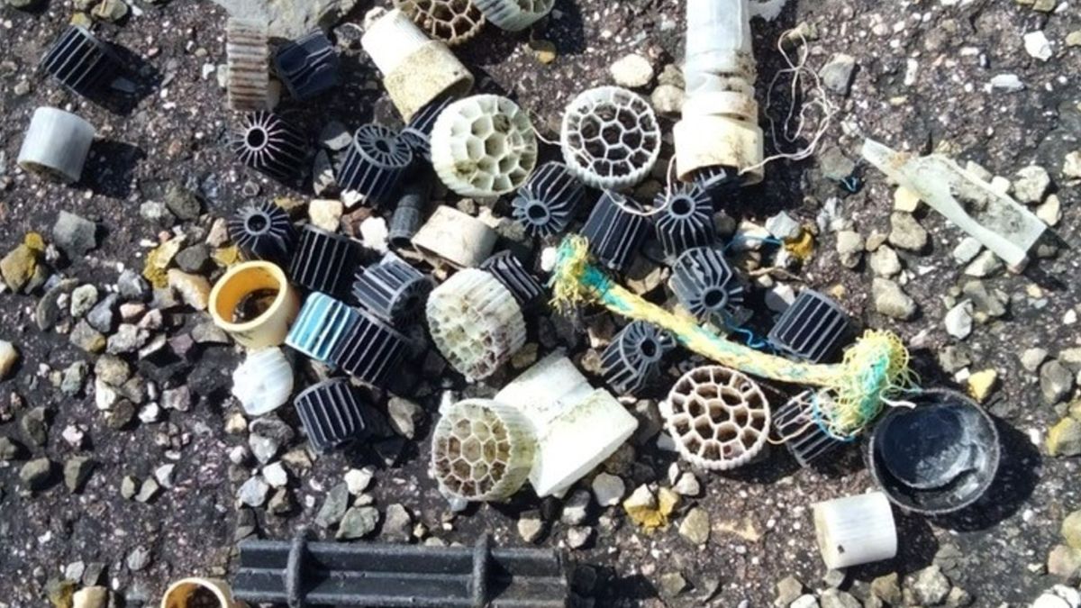Schouwse kust vervuild met kunststof-filters, vingers wijzen naar ...