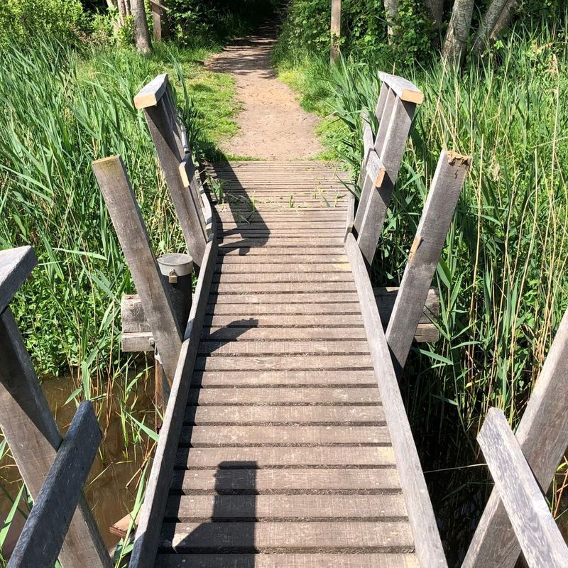 Bruggetje over De Reest, bekend van Bartje, vernield - RTV Drenthe