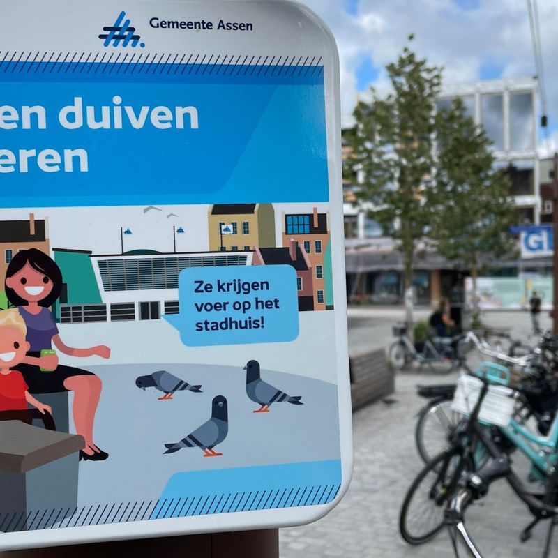 Voeren van stadsduiven duur geintje: Assen deelt boetes uit - RTV Drenthe