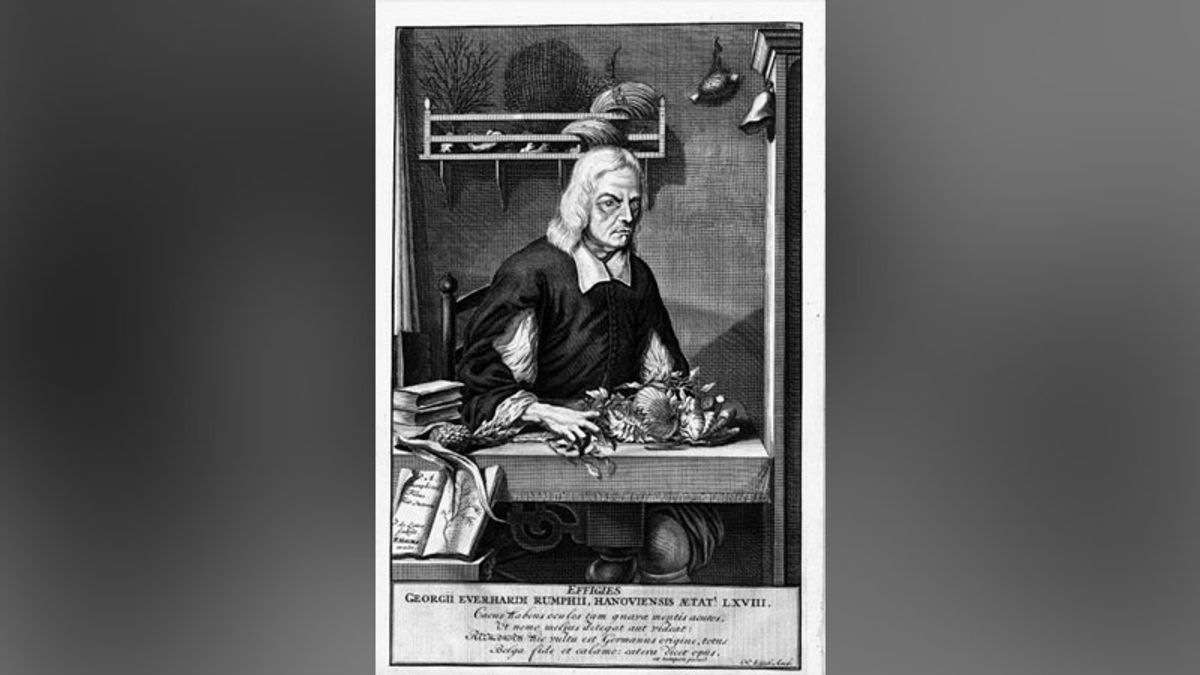 Vergeten Verhalen: George Rumphius - Rijnmond