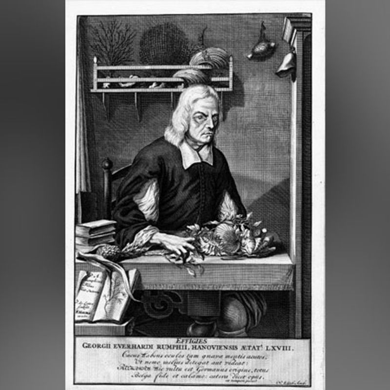 Vergeten Verhalen: George Rumphius - Rijnmond