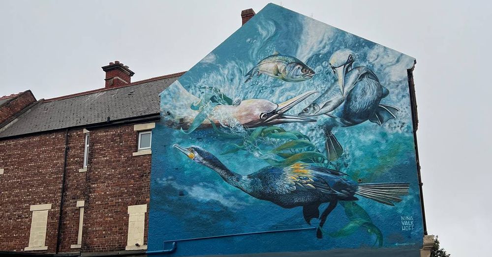 Drie vogels strijden om één vis: dit kunstwerk is genomineerd voor ...