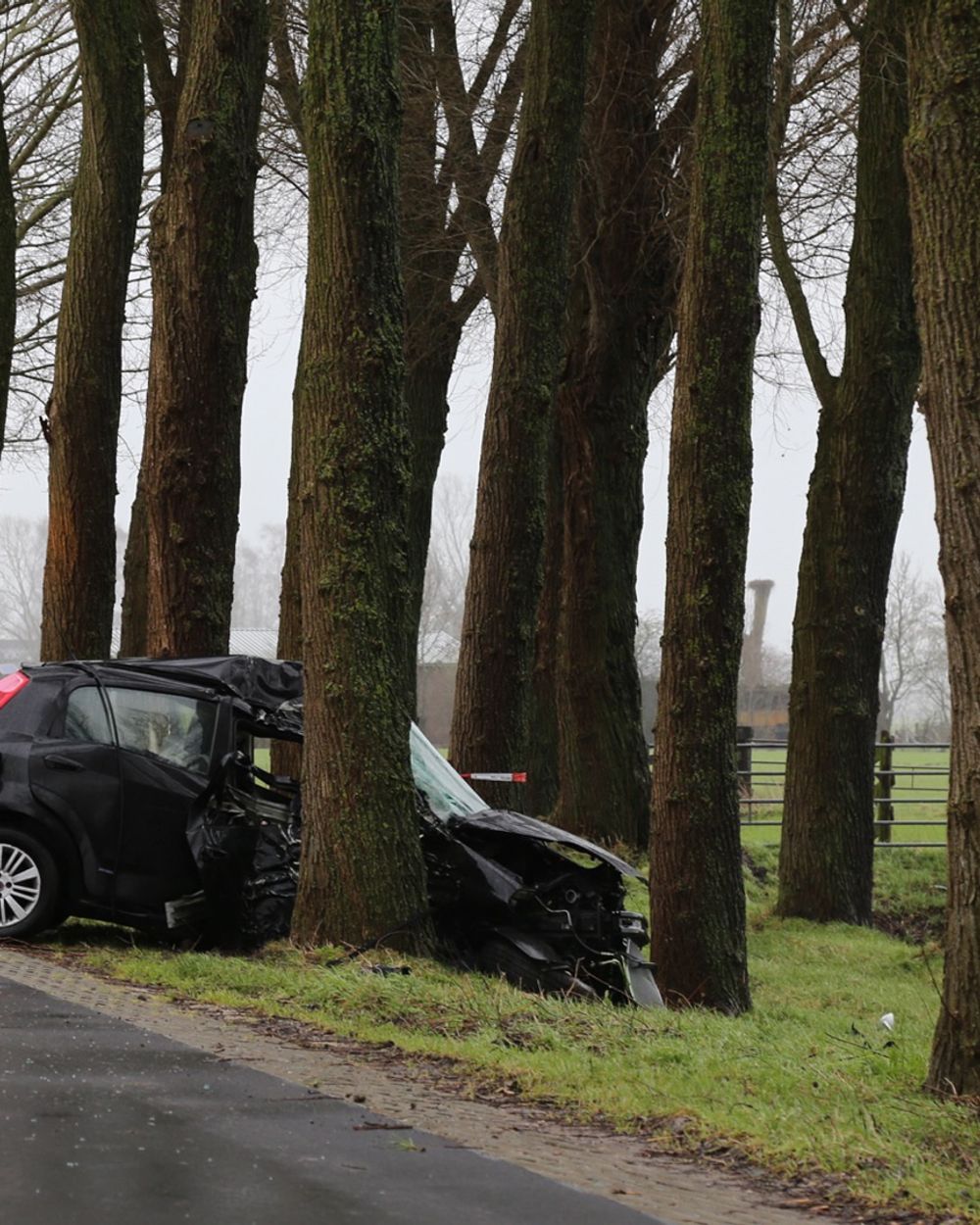Automobilist zwaargewond na botsing tegen boom in Zijderveld - RTV Utrecht