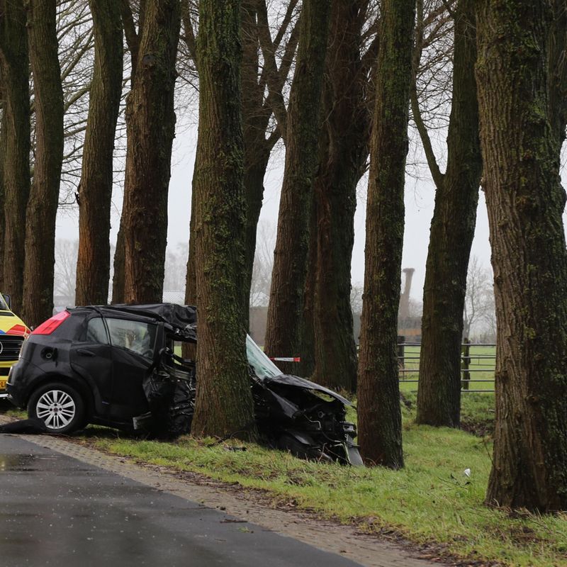 Automobilist zwaargewond na botsing tegen boom in Zijderveld - RTV Utrecht