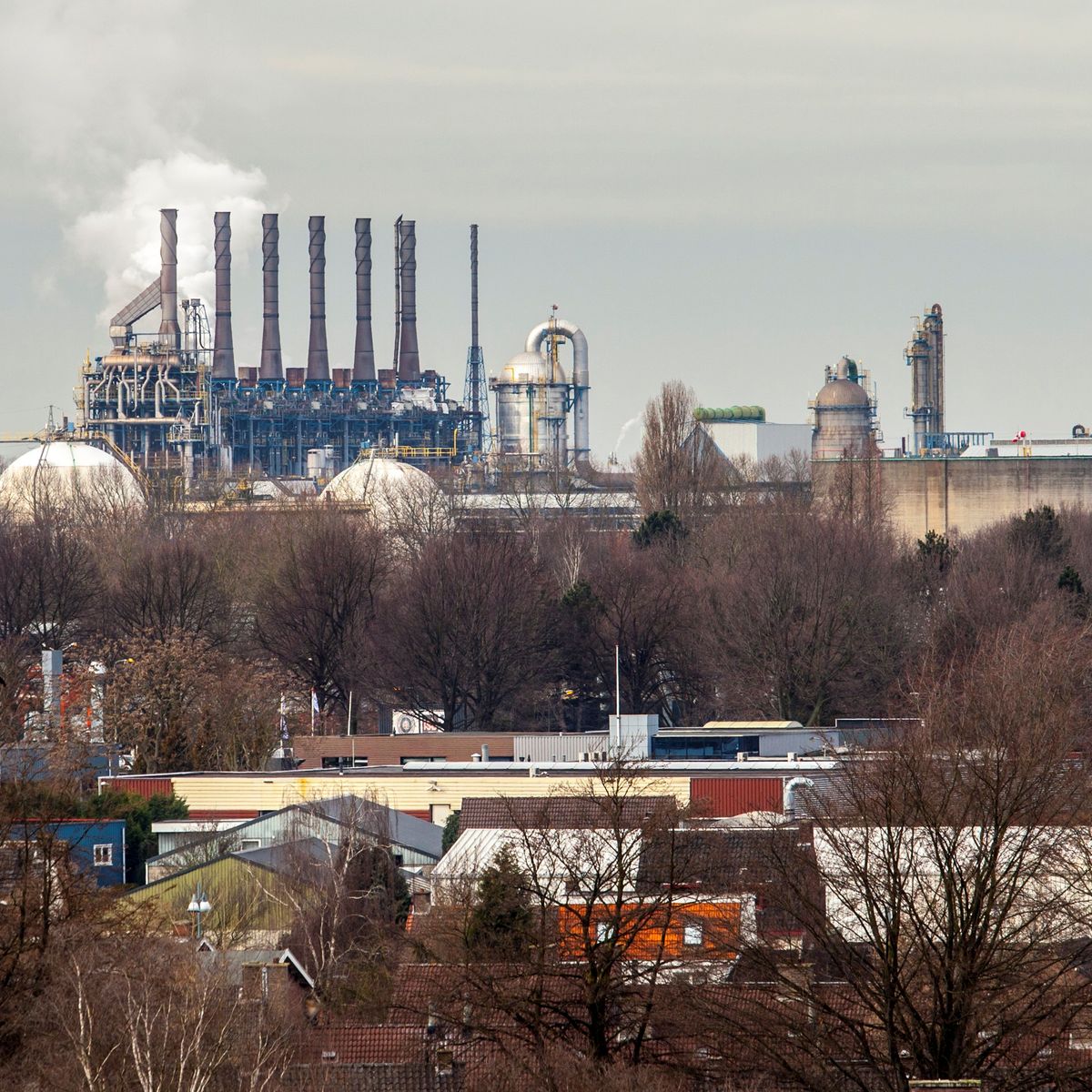 Chemelot: verduurzaming en verdienmodel verdampen - L1 Nieuws