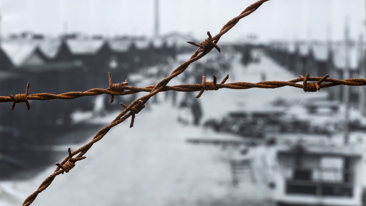 Verhalen over 'heulen met de Duitsers': wie was nou écht collaborateur ...