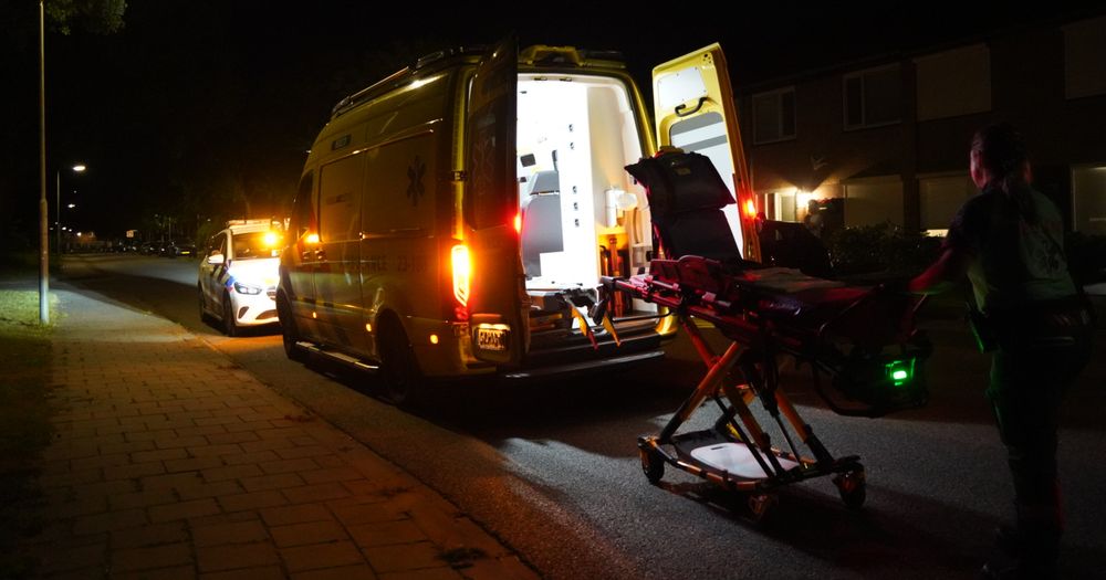 Bestuurster botst tegen boom en rijdt nog honderden meters verder - L1 Nieuws