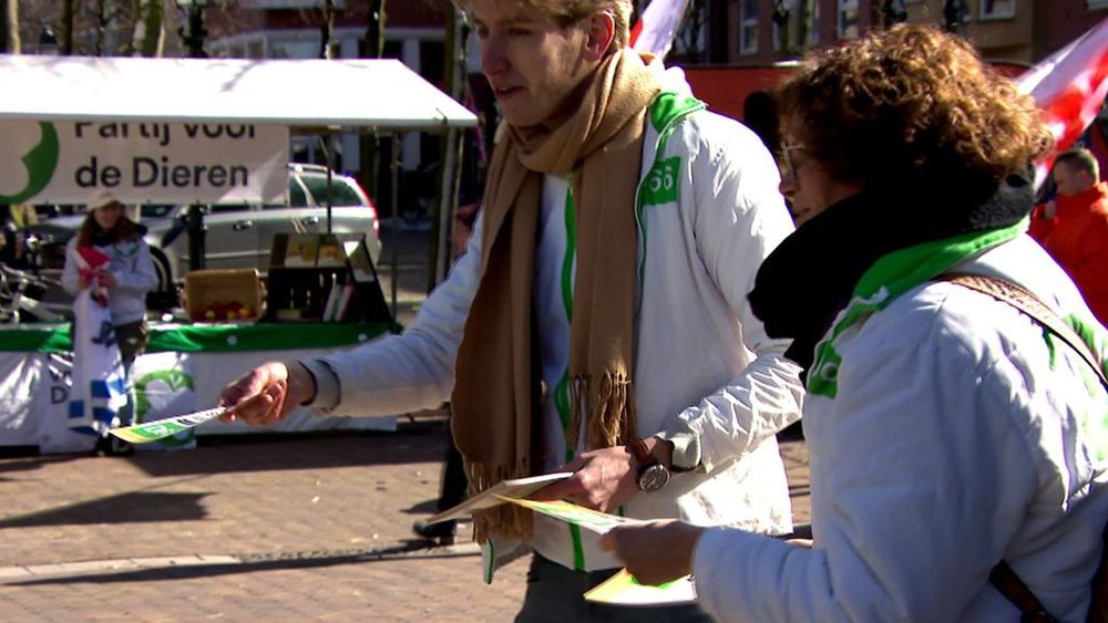 Kiezers gaan vlak voor verkiezingen nog even shoppen - Omroep Gelderland
