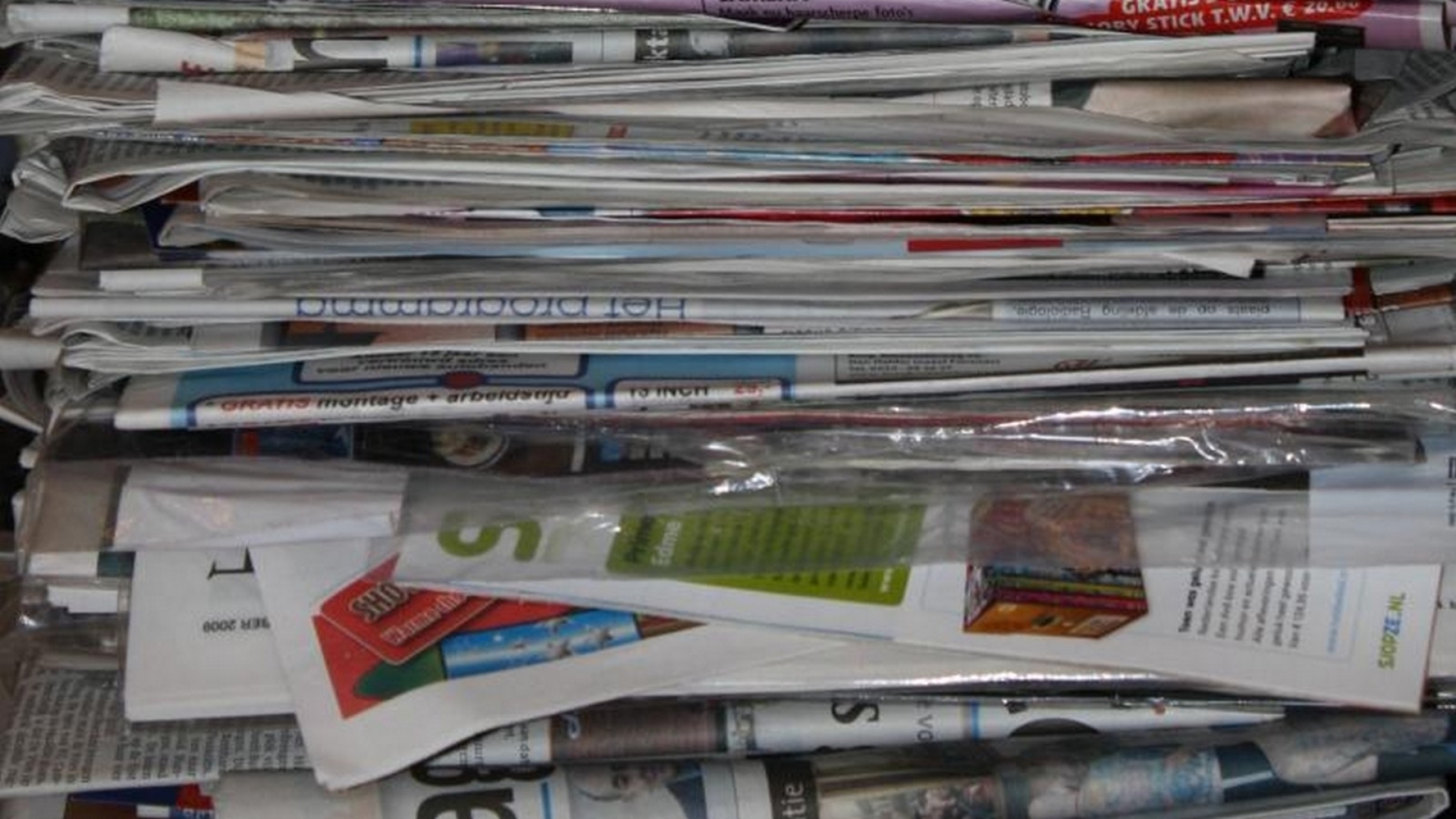 Lopend Vuur: Bepaalde vechthonden moeten in Nederland verboden worden ...