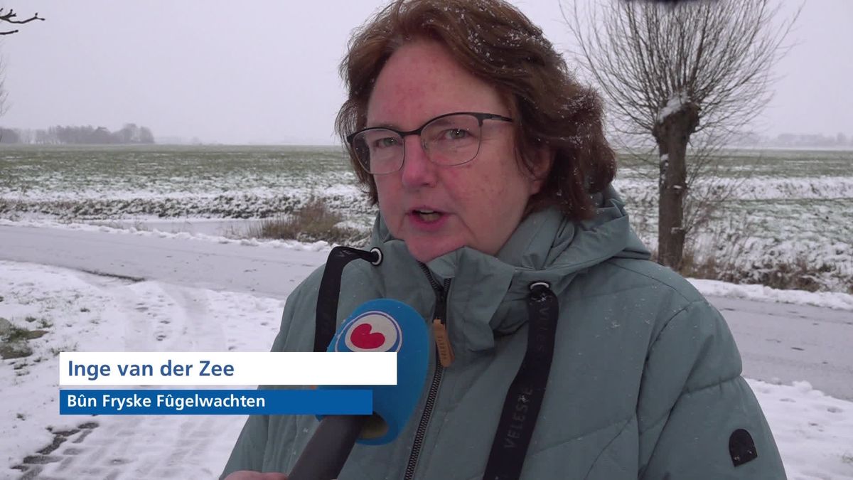Inge van der Zee van de BFVW over de samenwerking - Omrop Fryslân