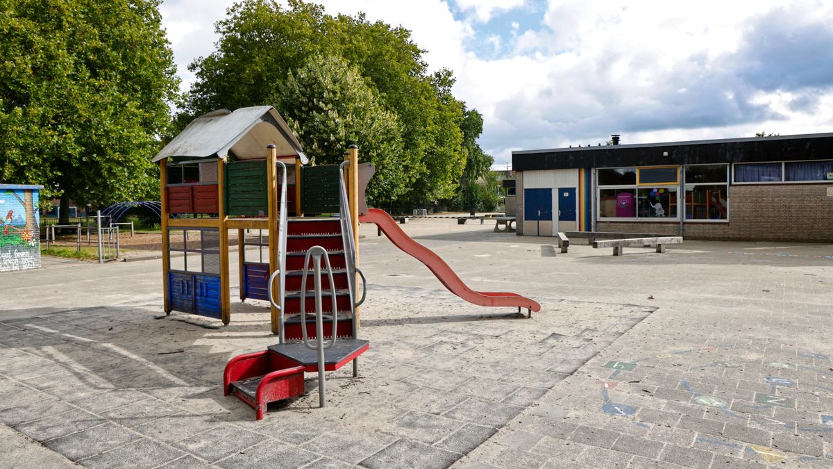 Waarom wolf ‘Bram’ nog steeds rondloopt - Oozo.nl