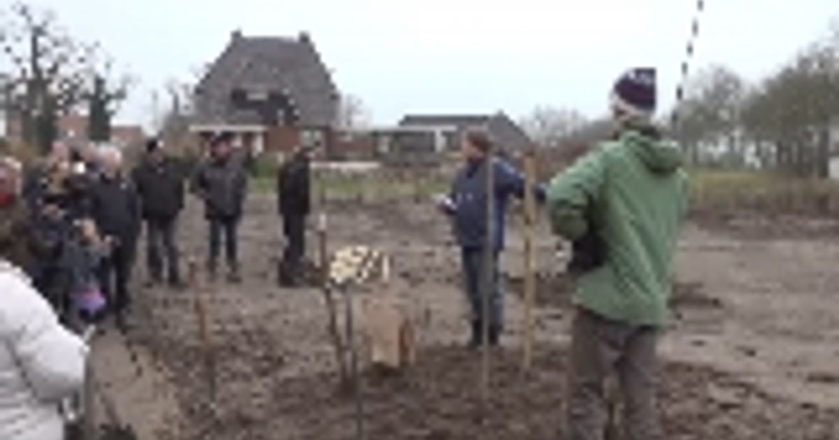 Nageboorte koe zorgt voor groei van voedselbos - Omroep Gelderland