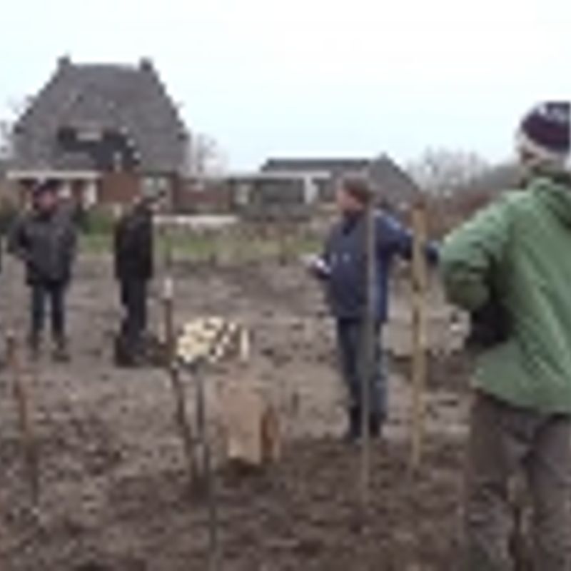 Nageboorte koe zorgt voor groei van voedselbos - Omroep Gelderland