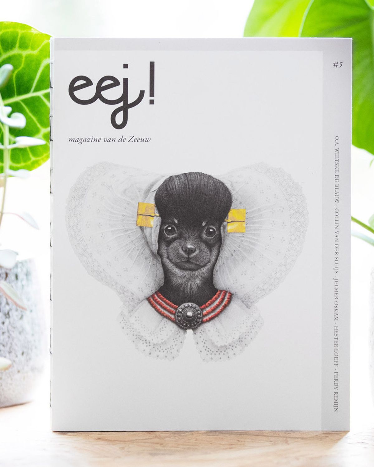 Eej genomineerd voor beste cover - Omroep Zeeland