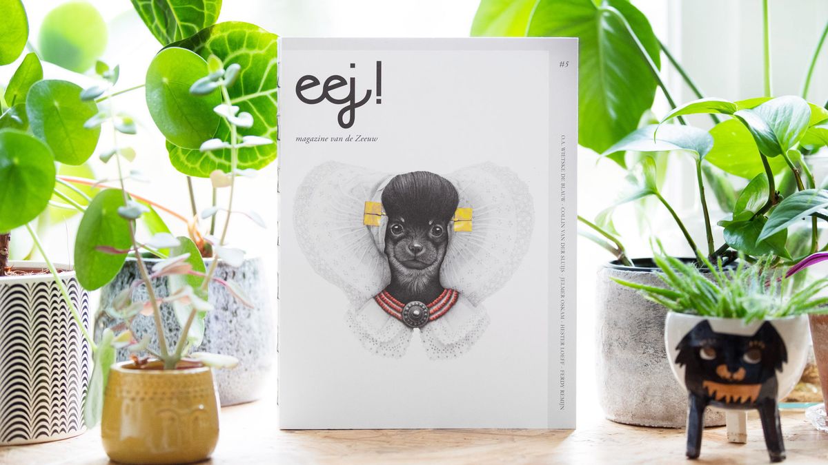 Eej genomineerd voor beste cover - Omroep Zeeland