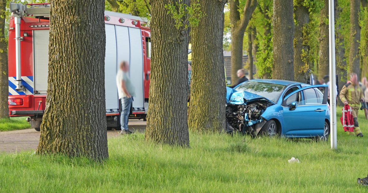 Automobilist gewond bij frontale botsing tegen boom bij Dalen - RTV Drenthe