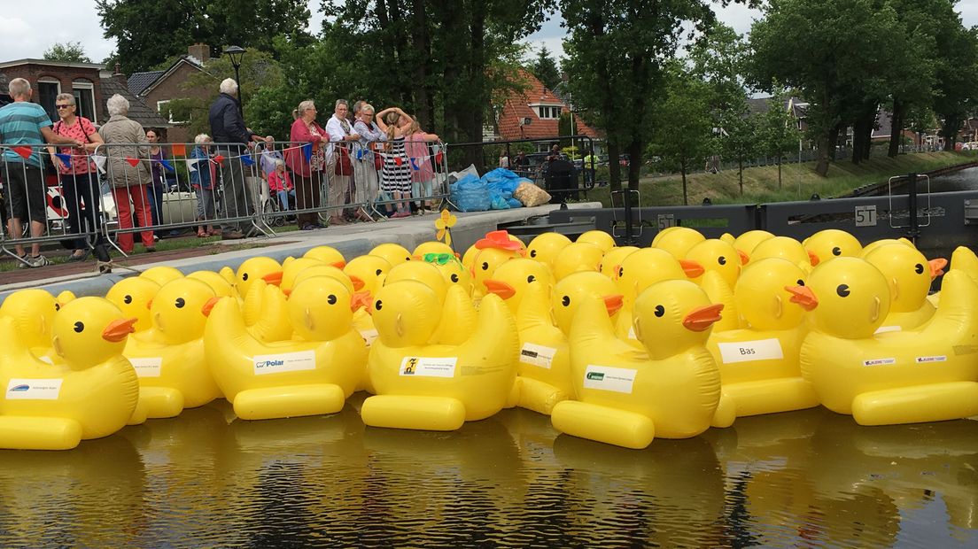 Kanaal Assen kleurt geel door duizenden badeendjes - RTV Drenthe