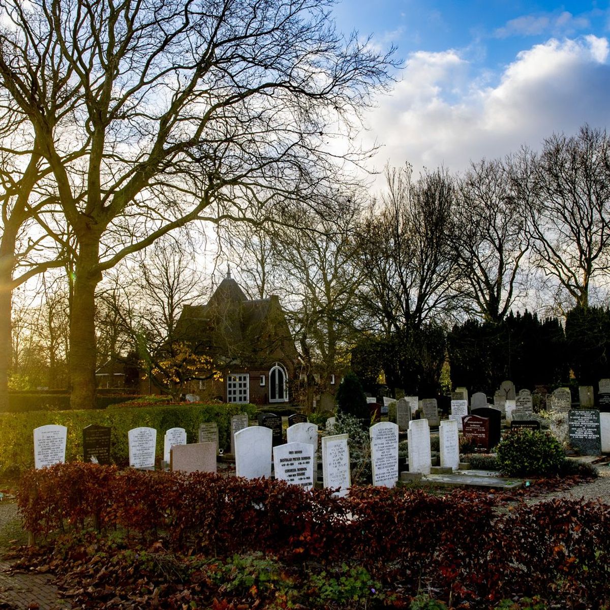 Vrouw met complotten over satanisch pedofielennetwerk opnieuw ...