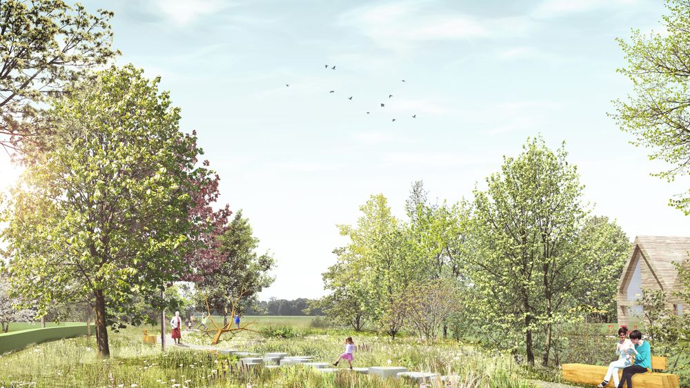 Diever krijgt een 'groene' wijk zonder aangeharkte tuintjes - RTV Drenthe