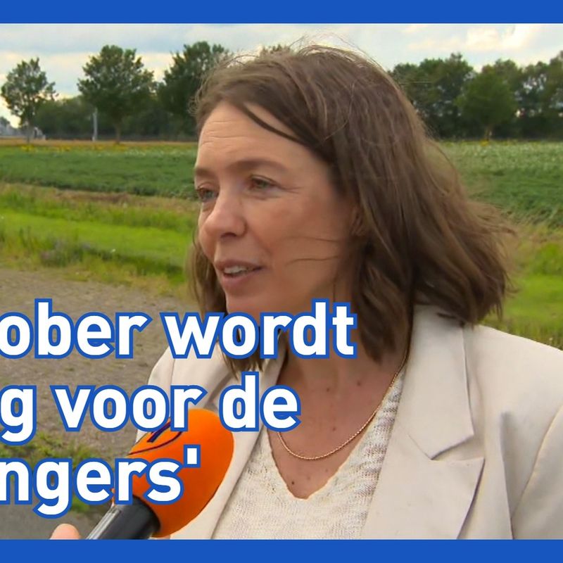 '5 oktober wordt de Dag van de Groninger' - RTV Noord
