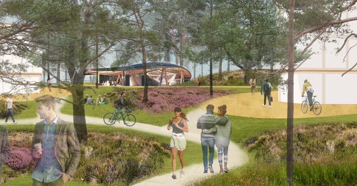 Greenwise Campus moet de springplank naar Emmen als studiestad worden - RTV Drenthe