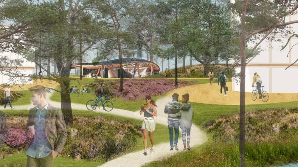 Greenwise Campus moet de springplank naar Emmen als studiestad worden ...
