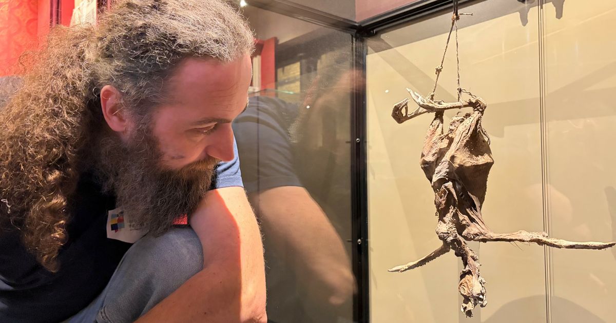 Experiment met mummies fan Wiuwert: "Er is iets aan de hand in die ...