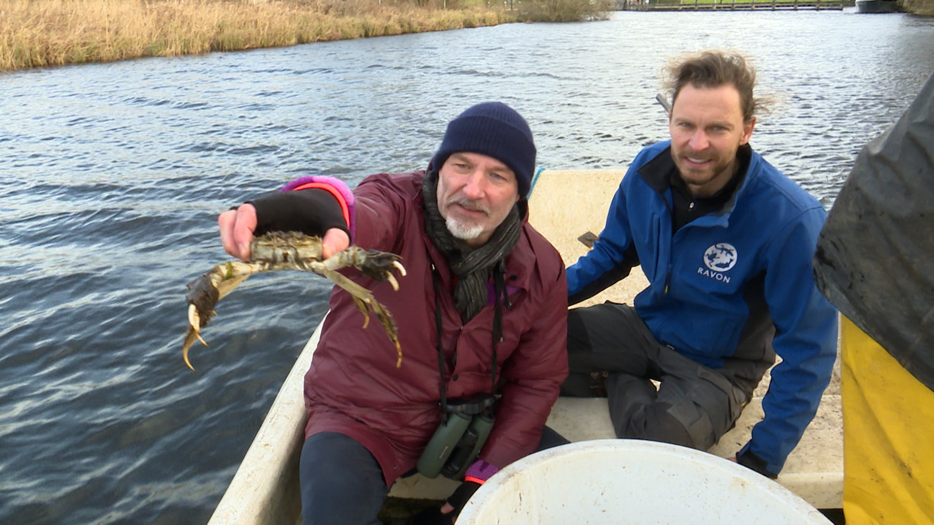 Natuurlijk Zoey - Zeldzame kwabaal in de Vinkeveense plassen - RTV Utrecht