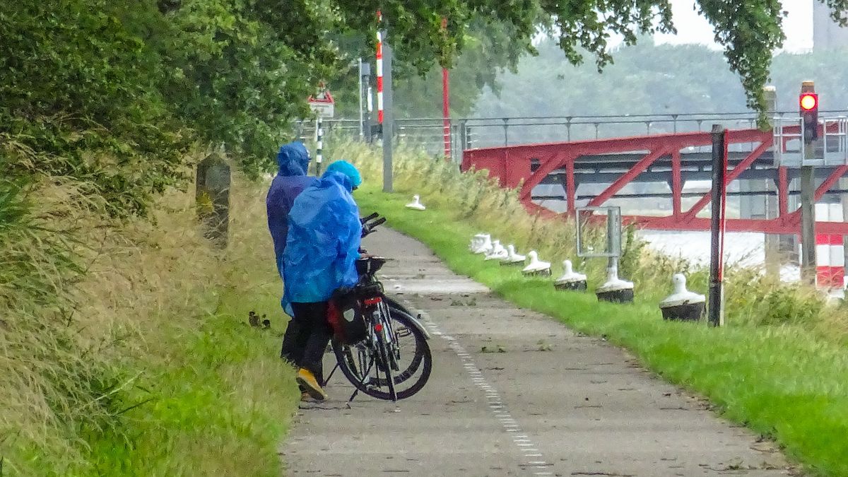 Harde wind en veel regen: evenementen afgelast en bomen omgewaaid ...