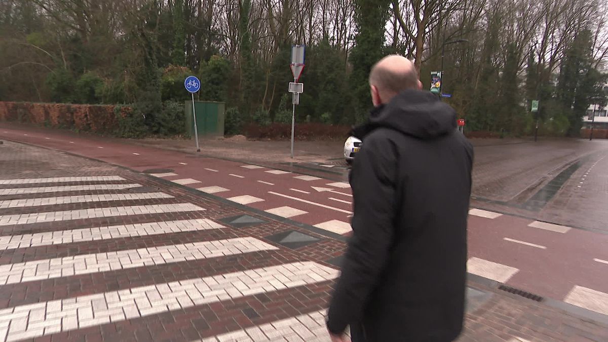 Verlichte haaientanden - RTV Drenthe