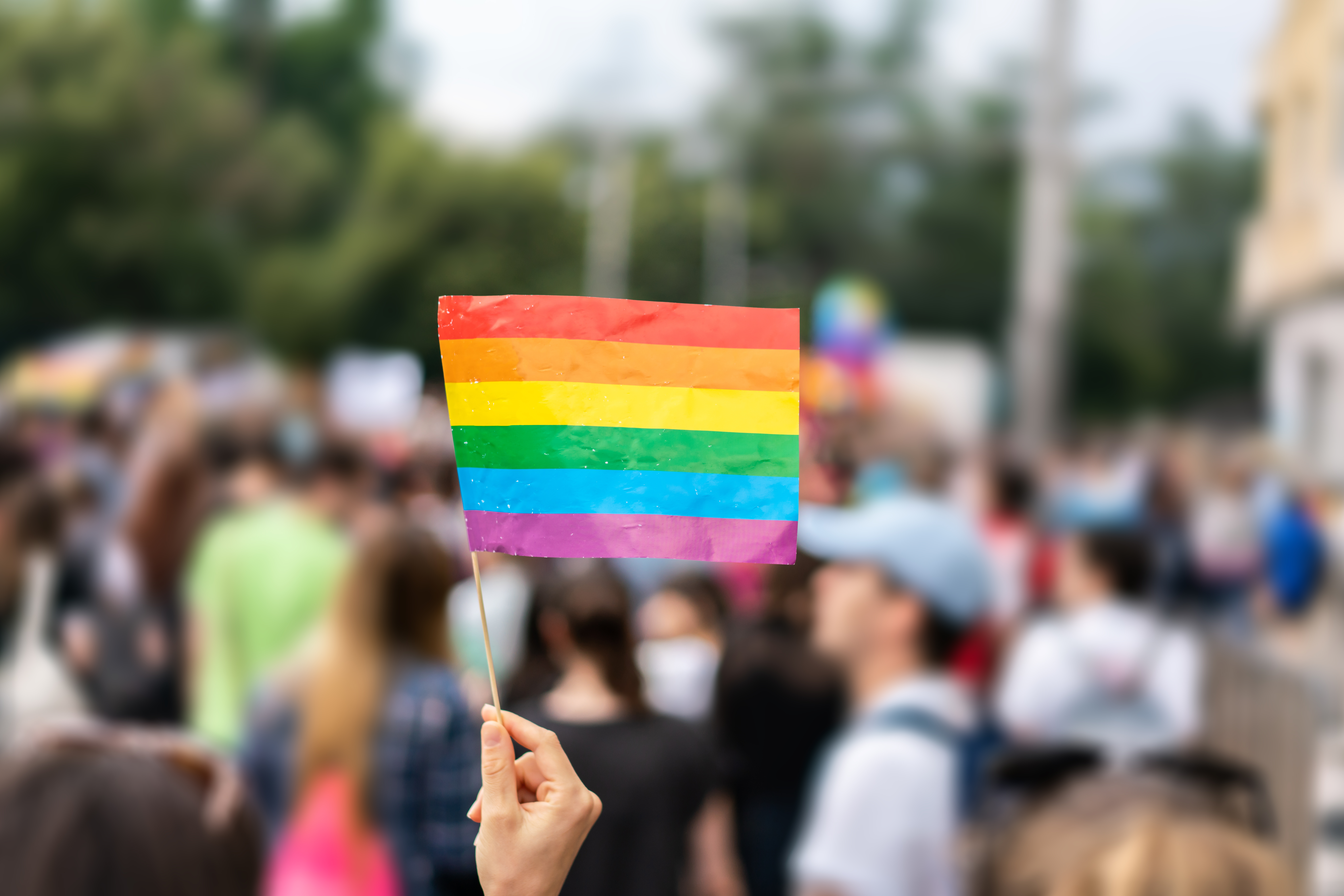 Pride Walk Sittard afgelast: conflict en geen vrijwilligers - L1 Nieuws