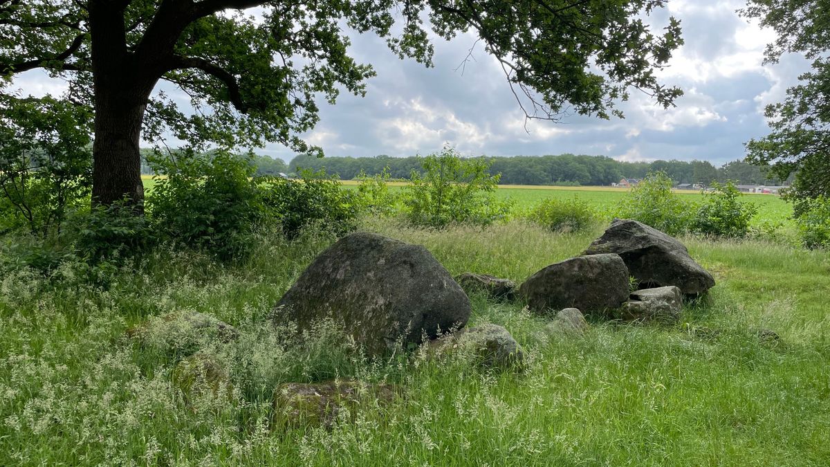 De Week van Drenthe: Unieke foto's en onderzoek bij hunebed - RTV Drenthe