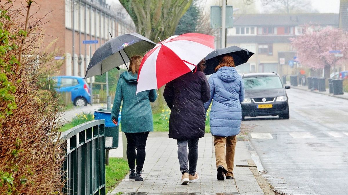Zon laat zich nog niet zien bij start lente, maar is dat wel zo gek ...