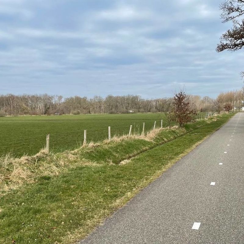 Noordenveld wil bouwen op natte grond van de Zulthe - RTV Drenthe